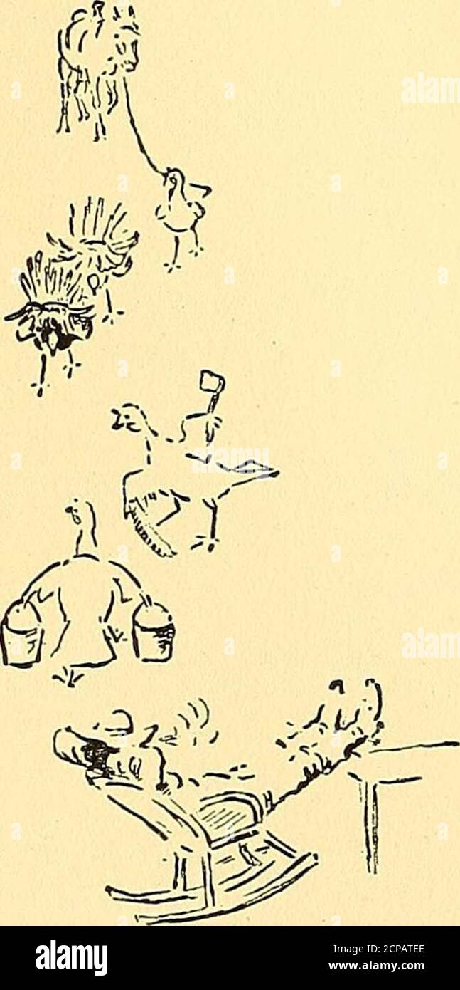 Big five drawings hi-res stock photography and images - Alamy