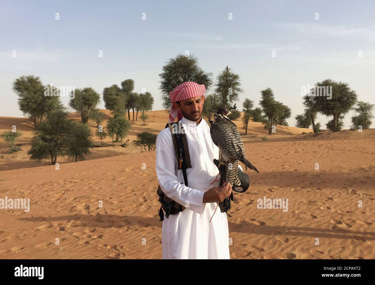 Royal emirati hi-res stock photography and images - Alamy