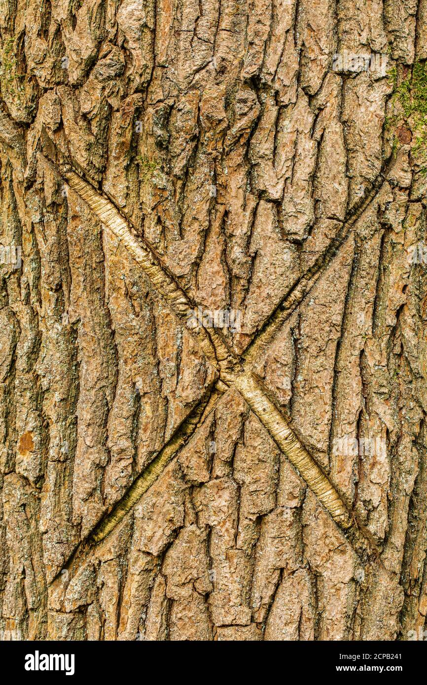 Carved tree cross hi-res stock photography and images - Alamy