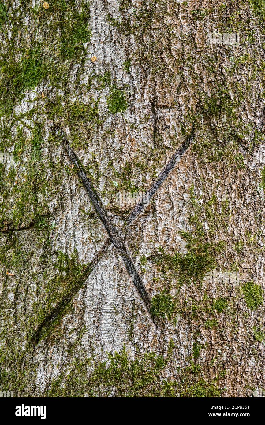 Carved tree cross hi-res stock photography and images - Alamy
