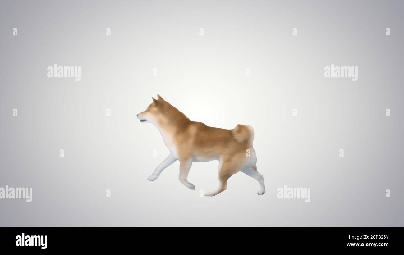 Puppy green screen hi-res stock photography and images - Alamy