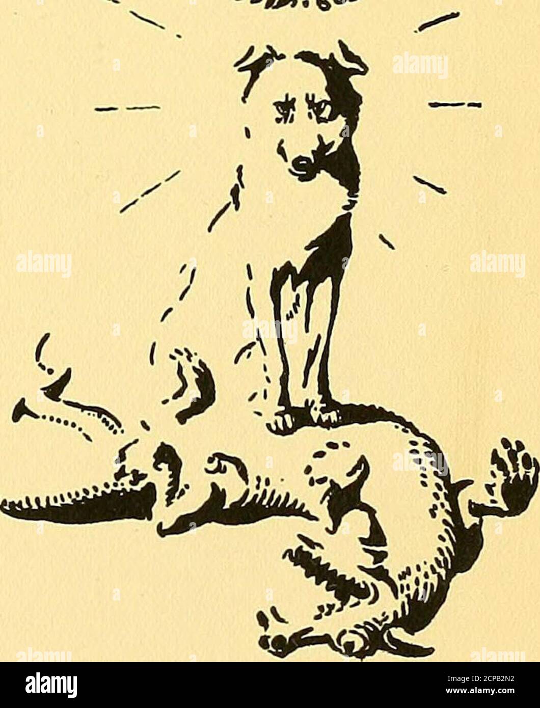 Big five drawings hi-res stock photography and images - Alamy