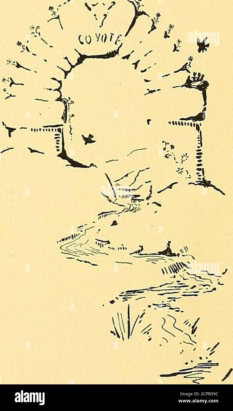 Big five drawings hi-res stock photography and images - Alamy