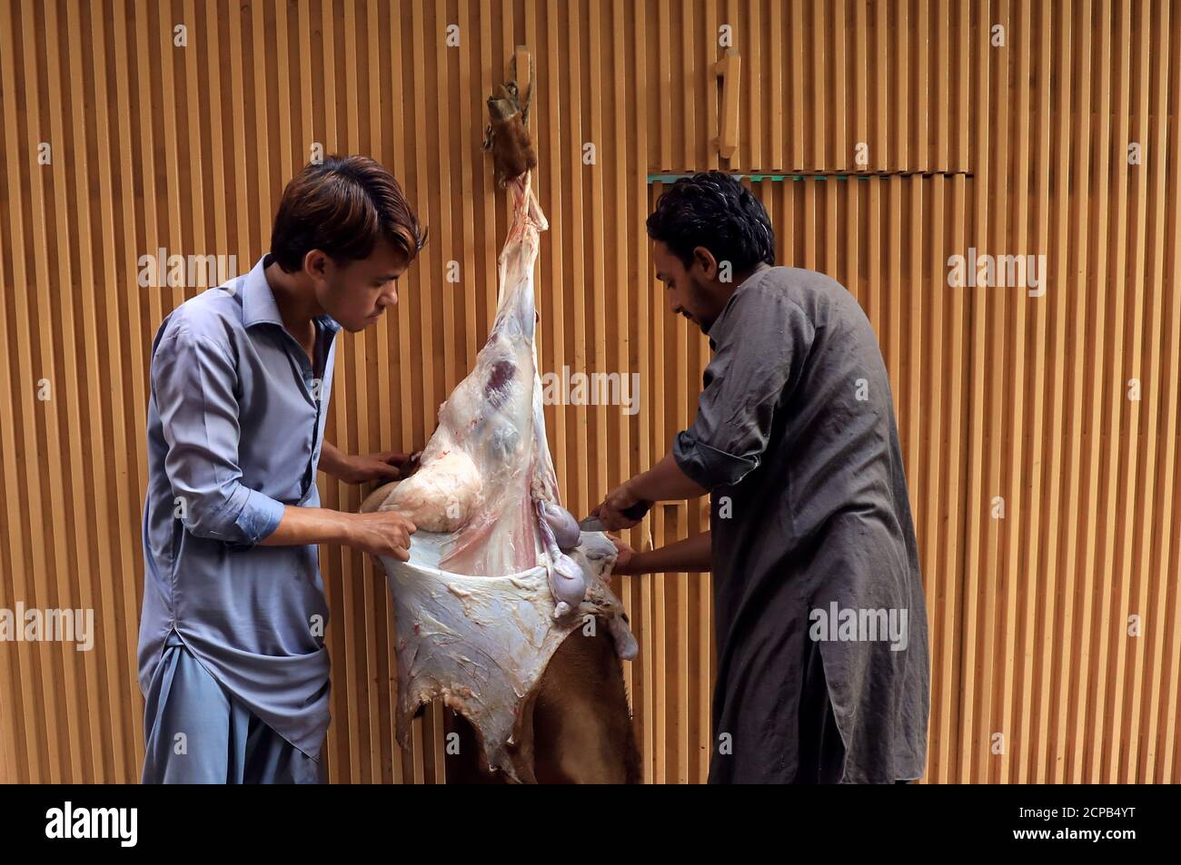 Skinning Goat High Resolution Stock Photography and Images - Alamy