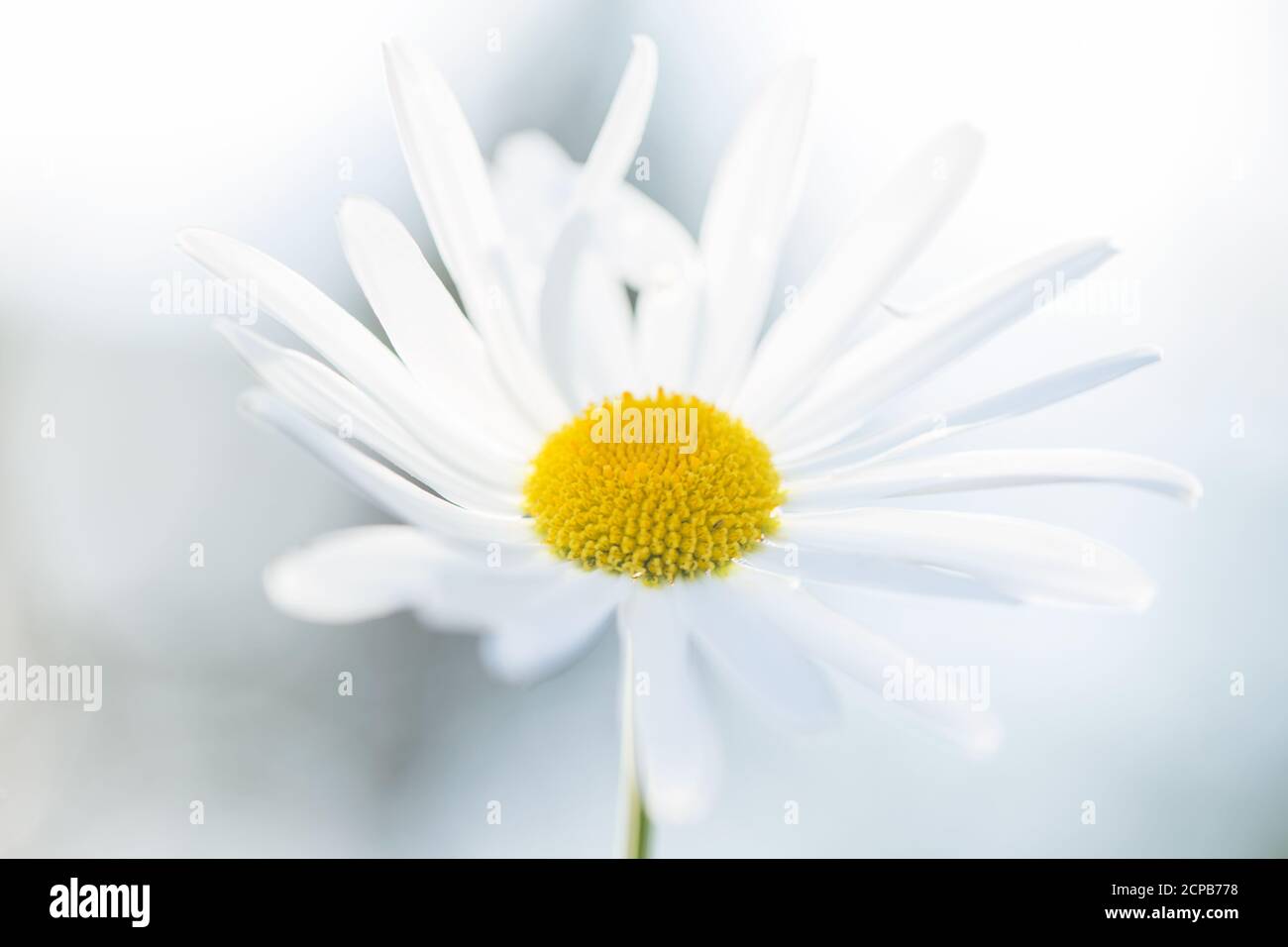 Blue nature background hi-res stock photography and images - Alamy