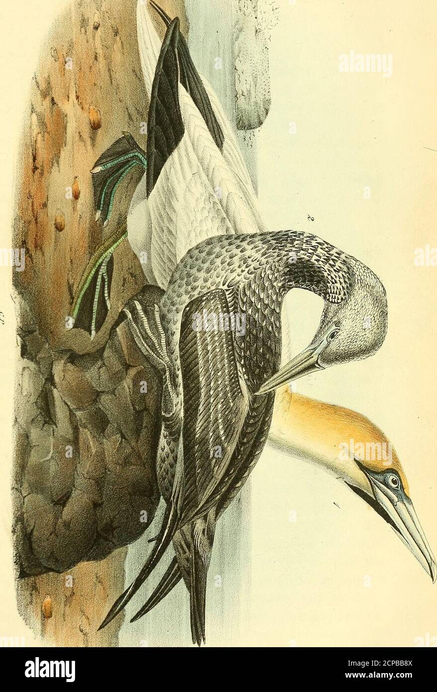 Diverging Sides High Resolution Stock Photography and Images - Alamy