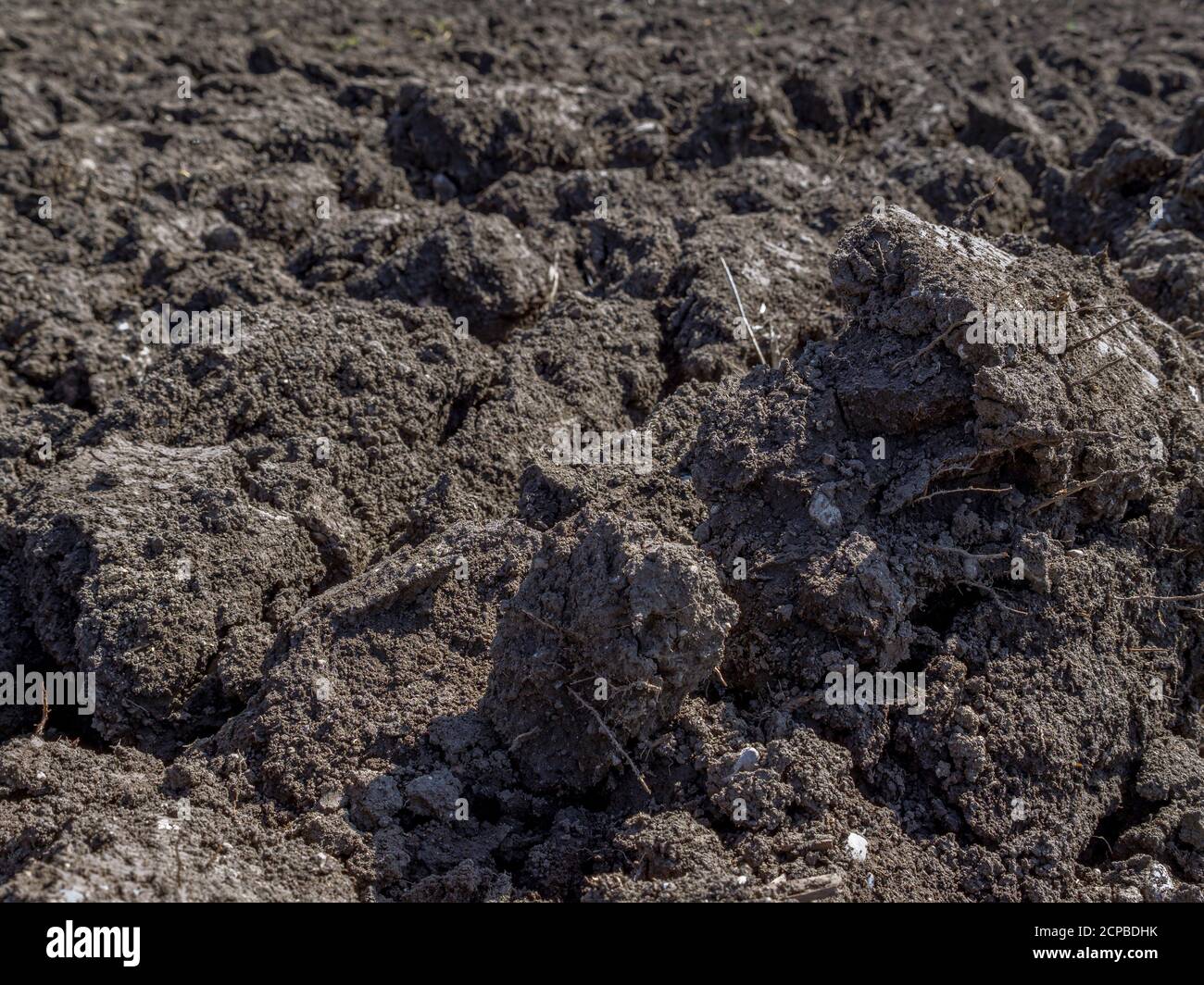 Freshly plowed field in spring, Bavaria, Germany, Europe Stock Photo ...