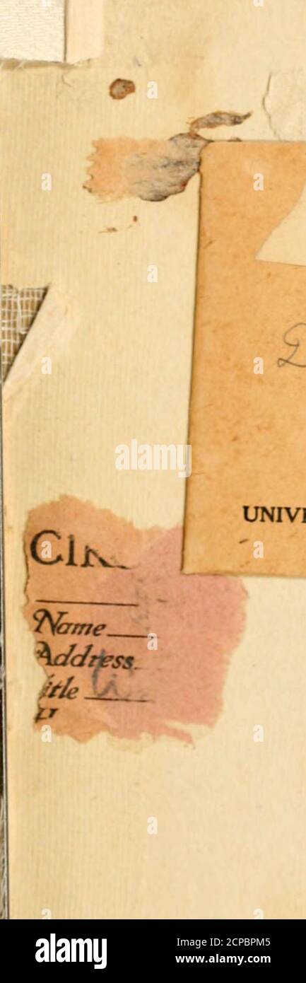 The bald parrot hi-res stock photography and images - Alamy