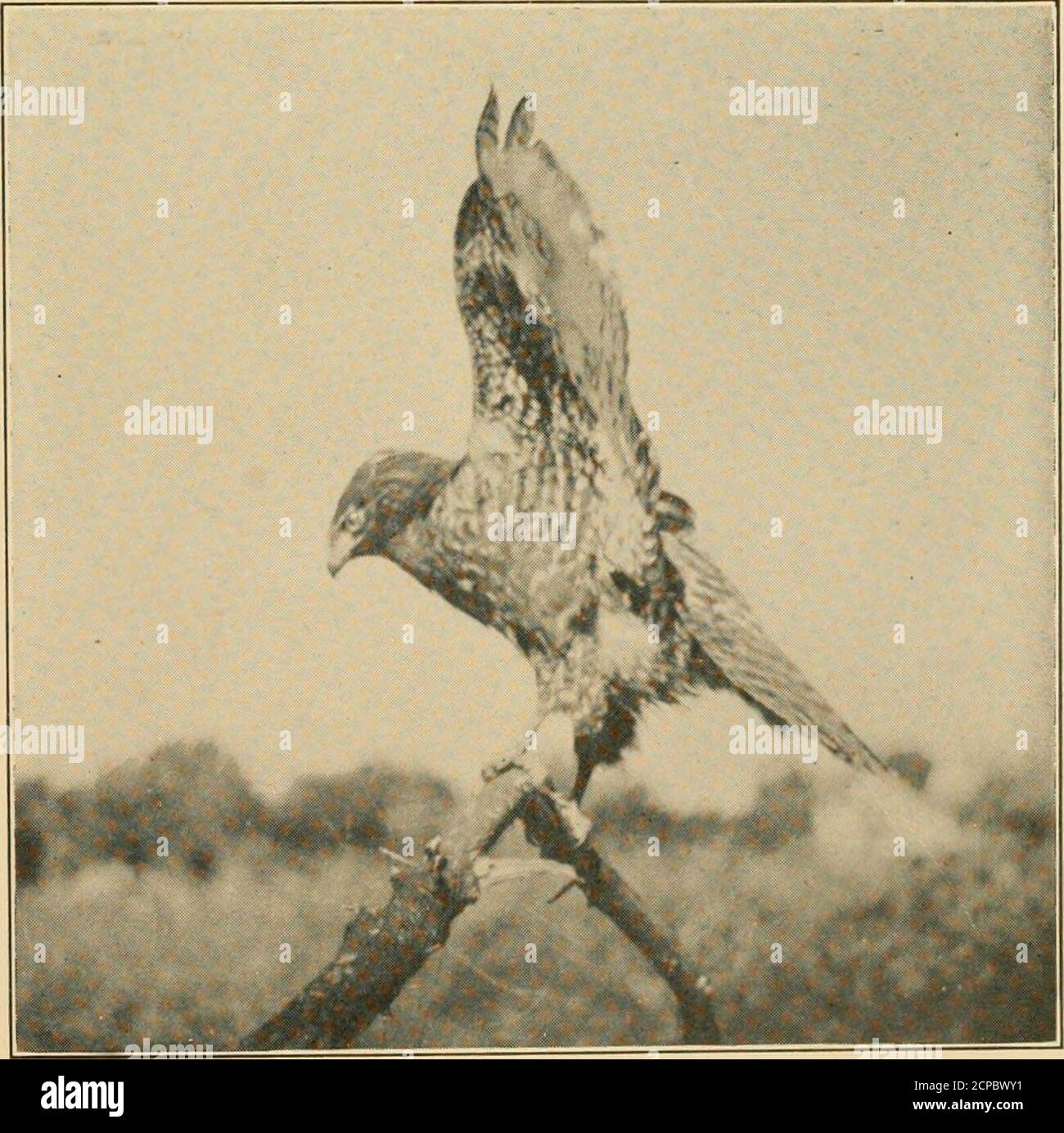 List of defects hi-res stock photography and images - Alamy