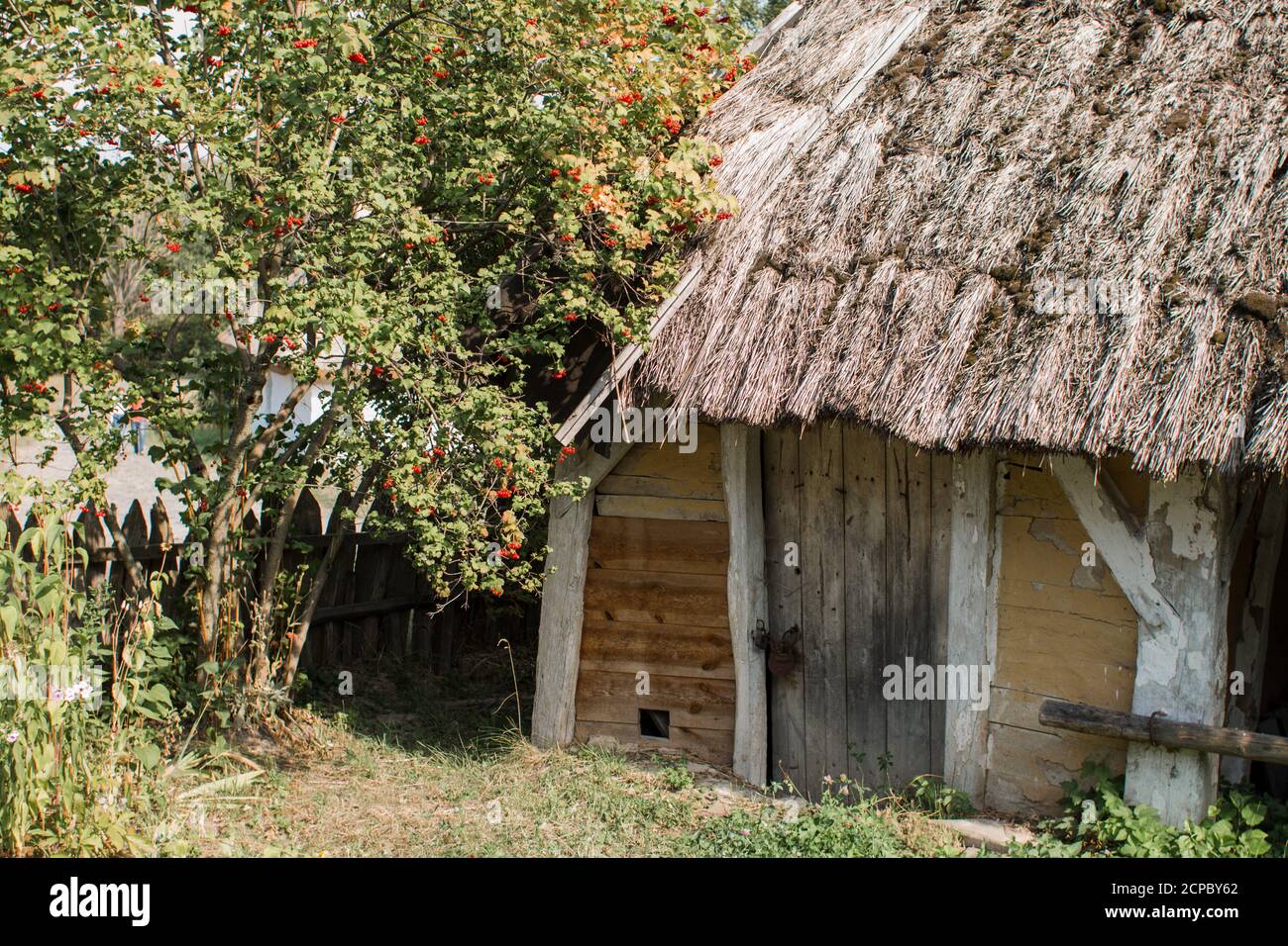 an old thatched cottage in the forest Stock Photo - Alamy