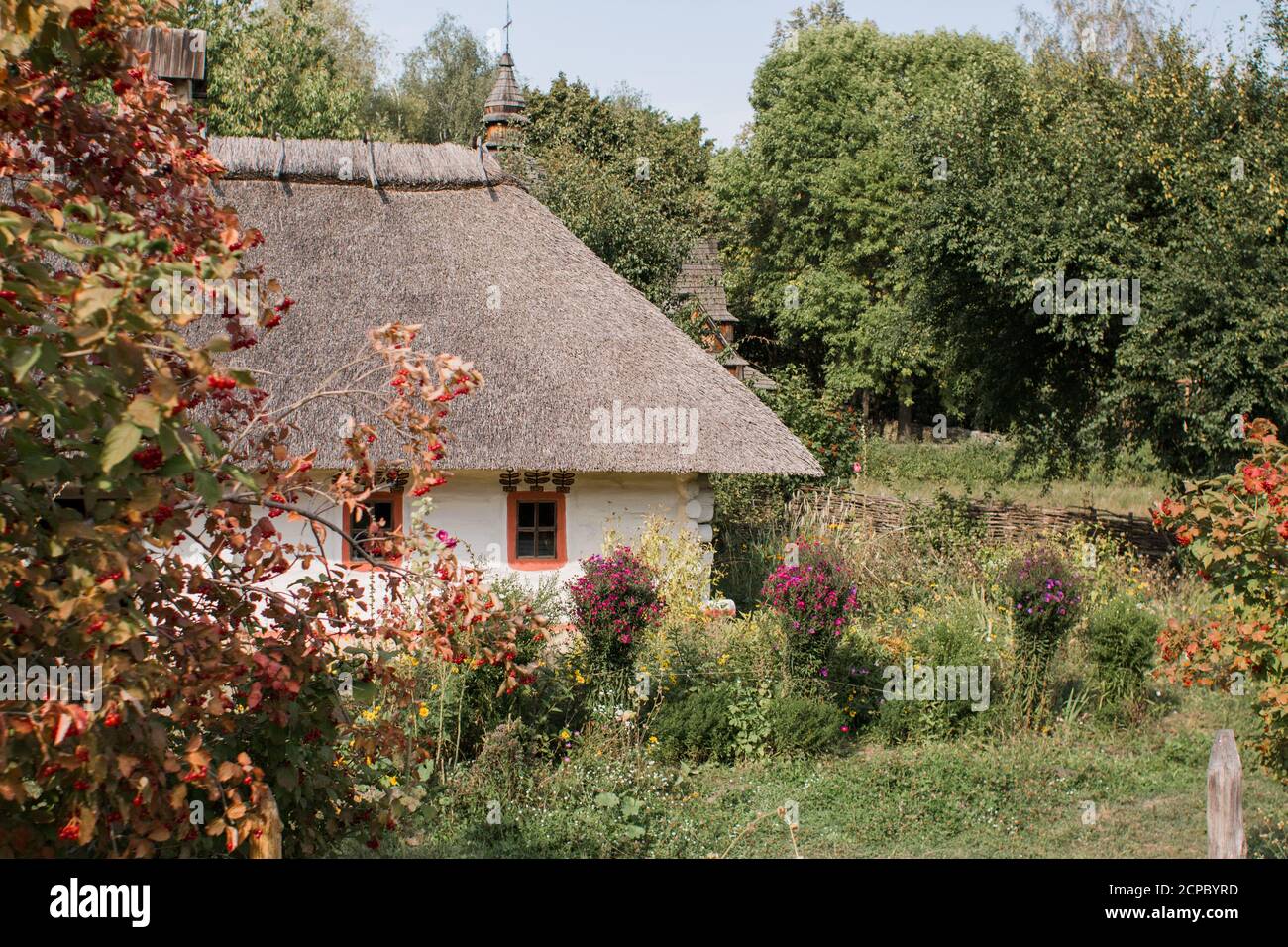 an old thatched cottage in the forest Stock Photo - Alamy