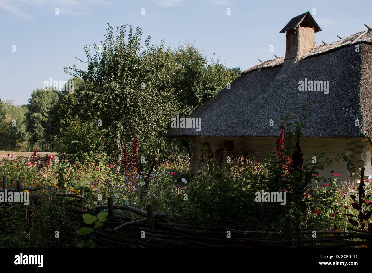 an old thatched cottage in the forest Stock Photo - Alamy