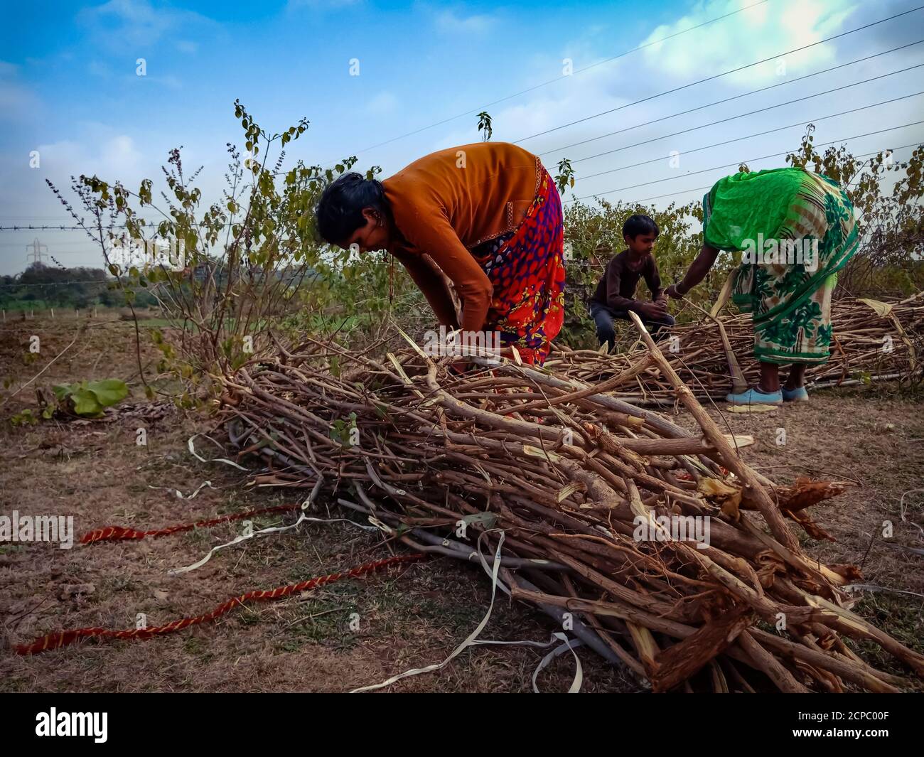 DISTRICT KATNI, INDIA - JANUARY 01, 2020: An indian village woman ...