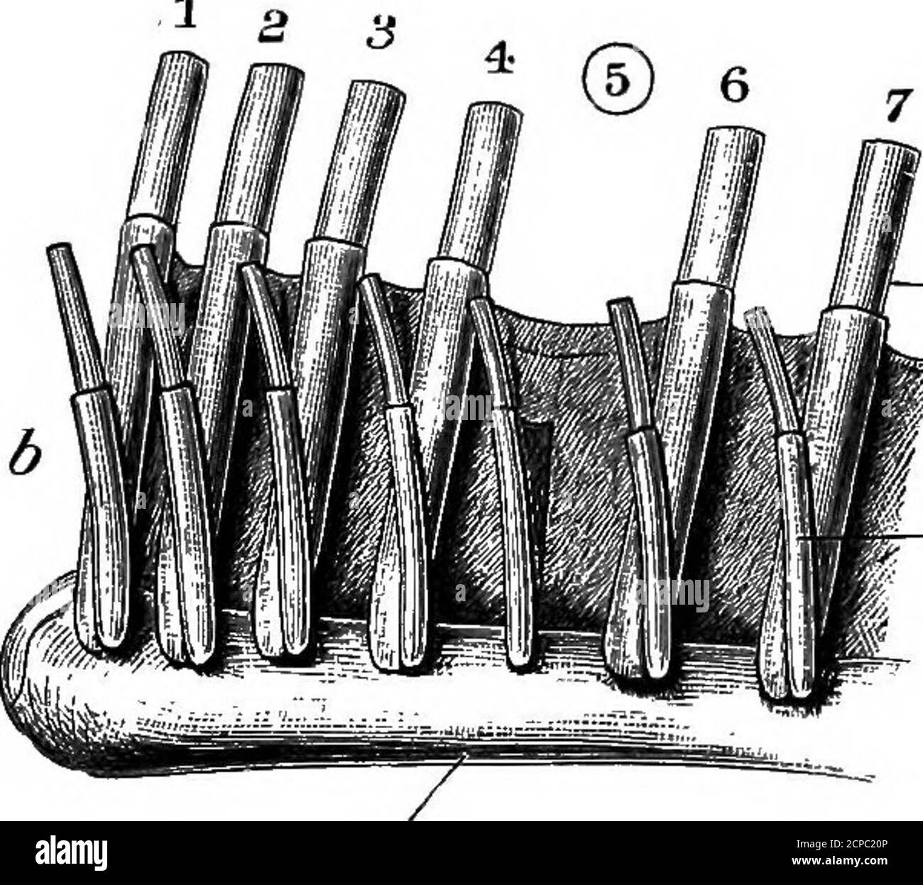 Tectrix hi-res stock photography and images - Alamy