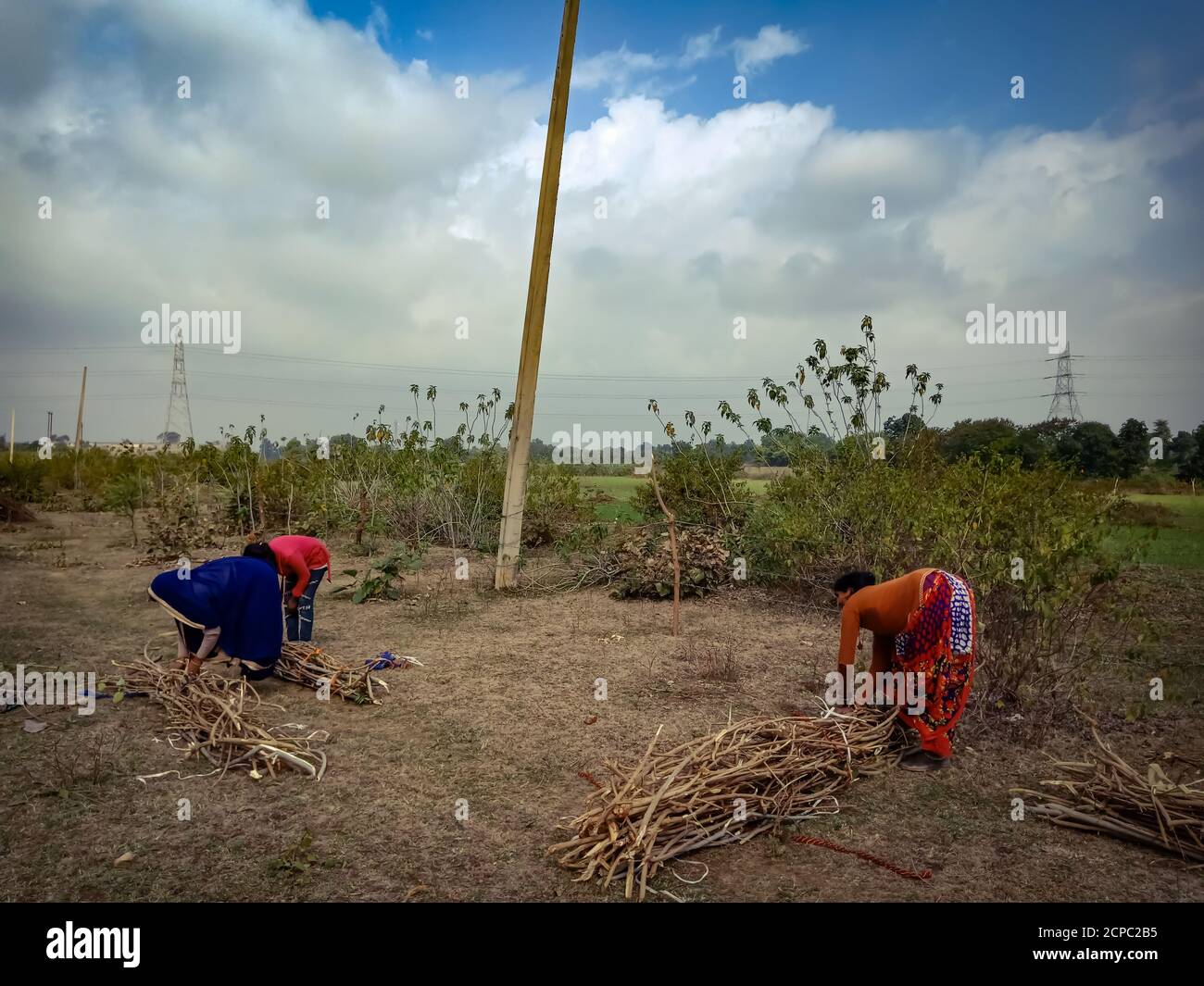 DISTRICT KATNI, INDIA - JANUARY 01, 2020: Indian village female labours ...