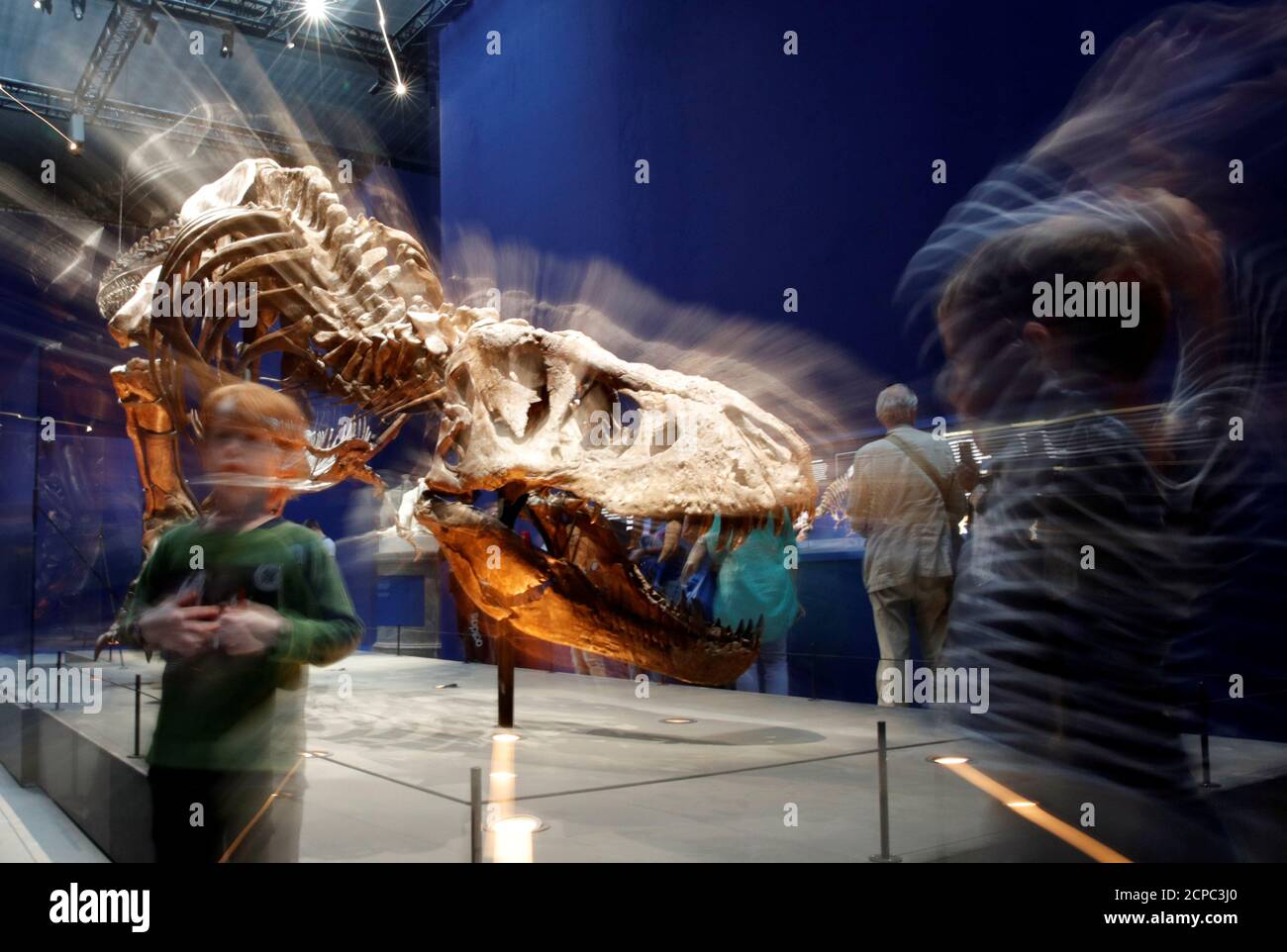 Trix the t rex hi-res stock photography and images - Alamy