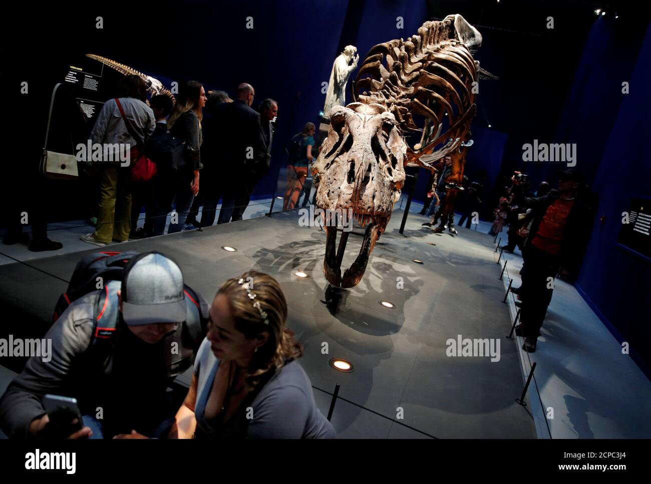 Trix the t rex hi-res stock photography and images - Alamy