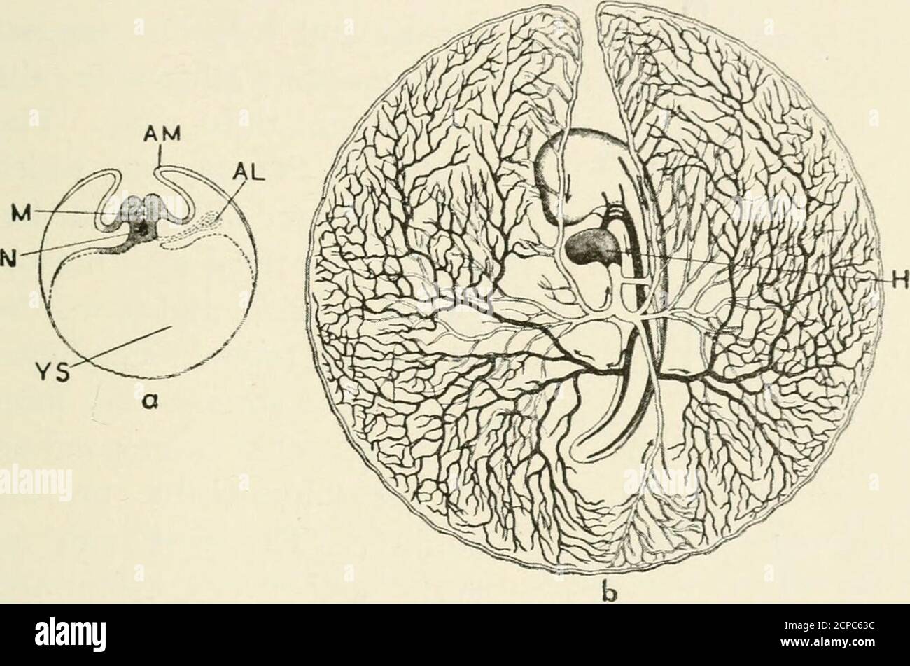 Pit hatching hi-res stock photography and images - Alamy