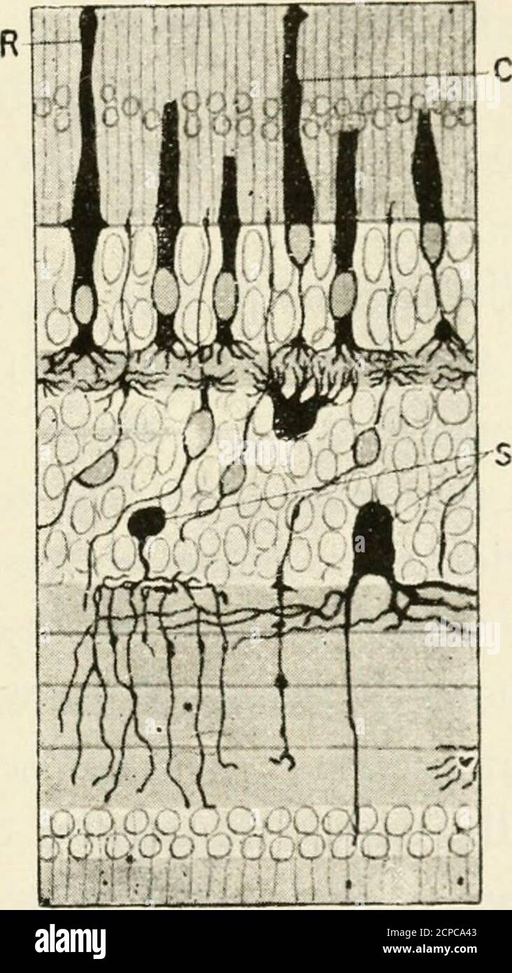 Blind spot experiment hi-res stock photography and images - Alamy