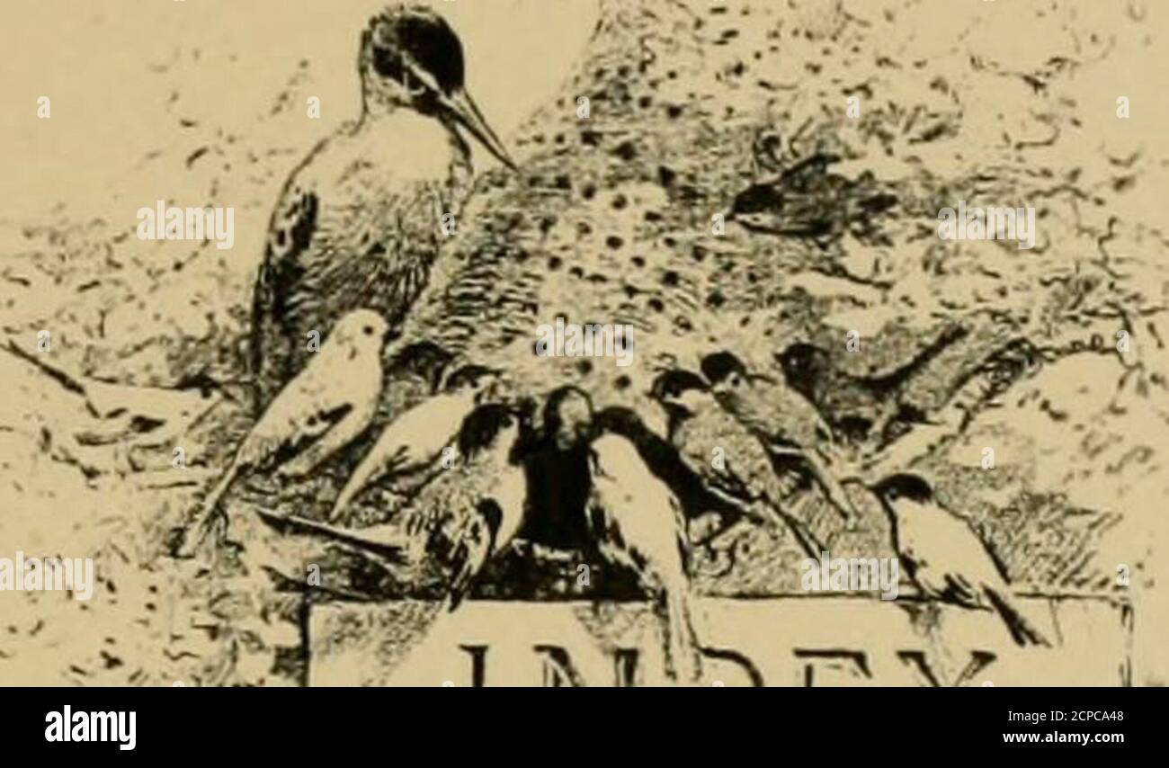 Ants calendar hi-res stock photography and images - Alamy