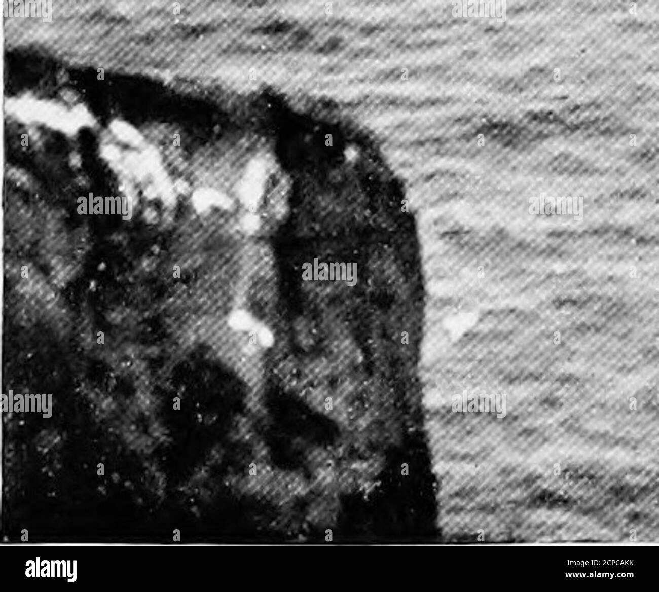 Stunted appearance Black and White Stock Photos & Images - Alamy