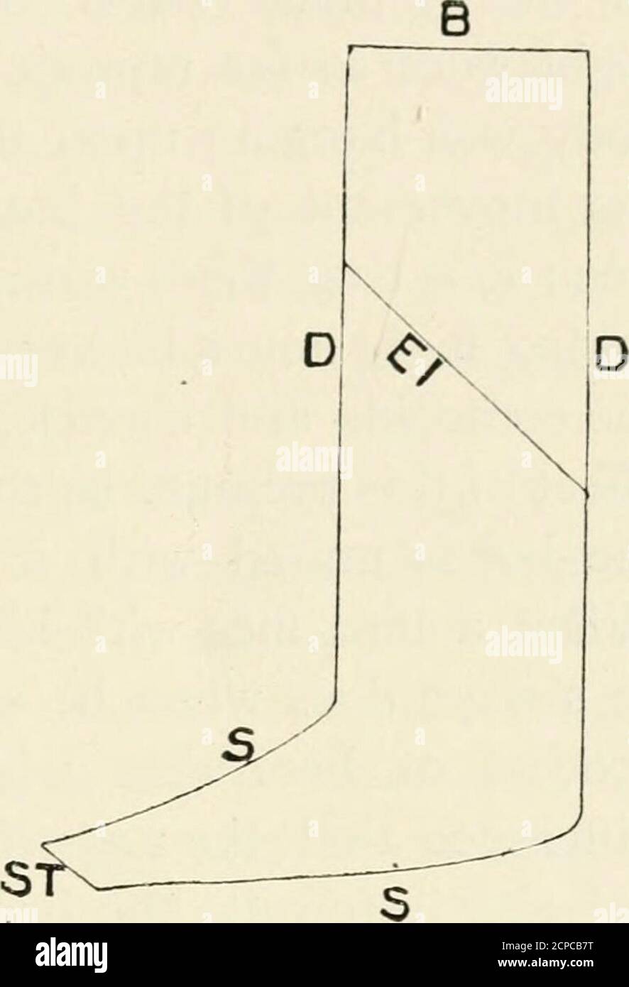 . The structure and life of birds . joints allowing the hinderpart of ...