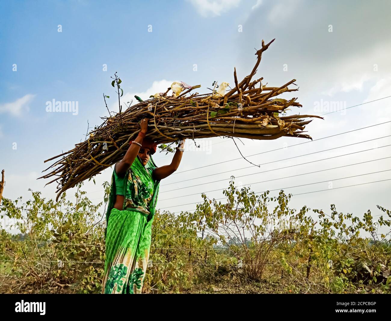 Katni, india hi-res stock photography and images - Alamy
