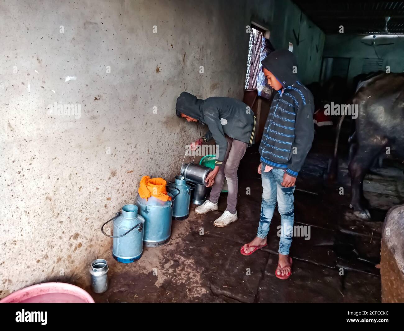 DISTRICT KATNI, INDIA - JANUARY 04, 2020: A dairy farmers childrens ...