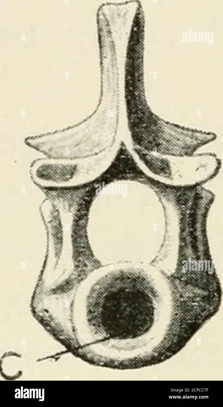 Bookidstructurelif hi-res stock photography and images - Alamy