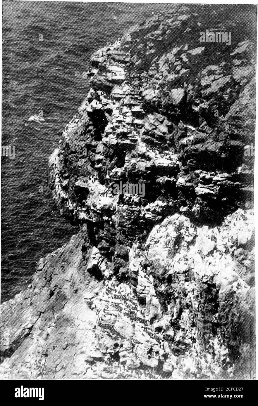 Mingulay island hi-res stock photography and images - Alamy