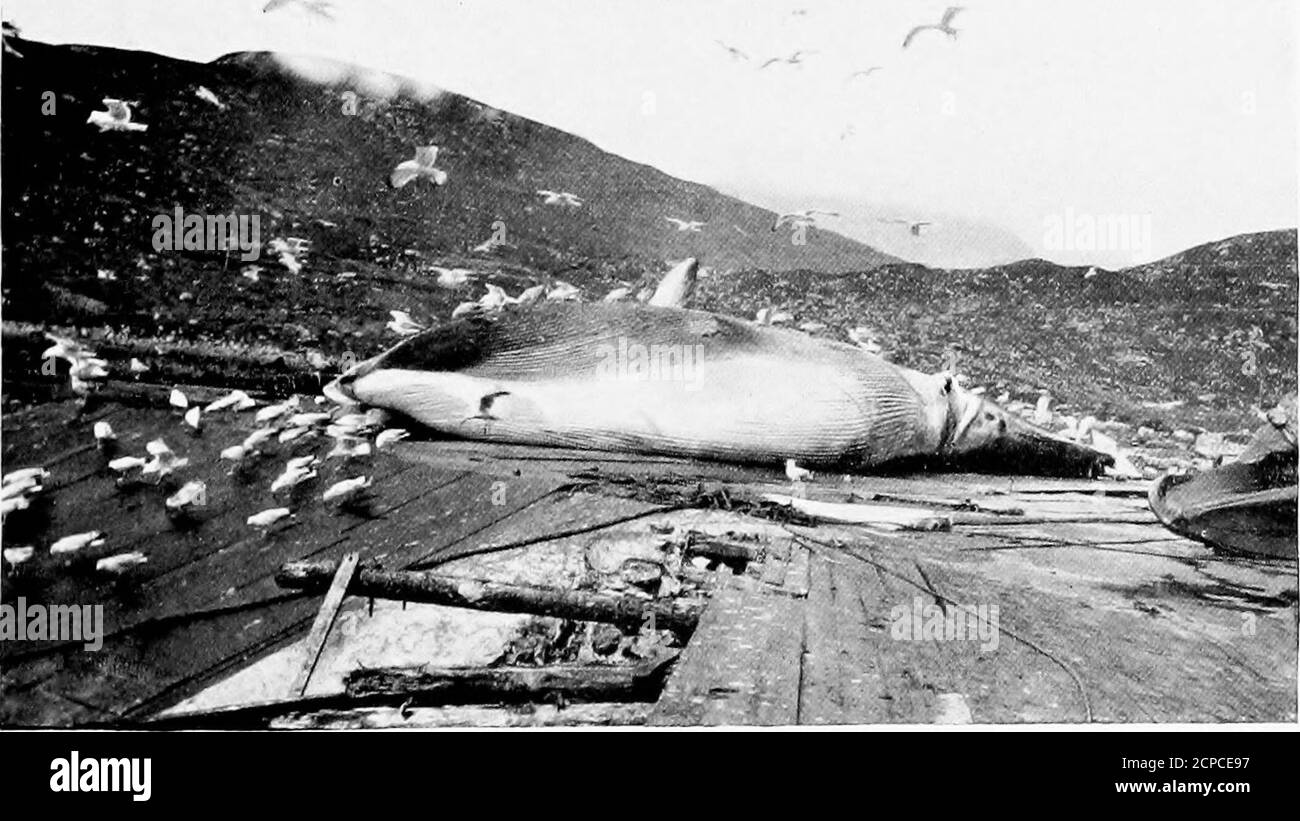The clisham Black and White Stock Photos & Images - Alamy