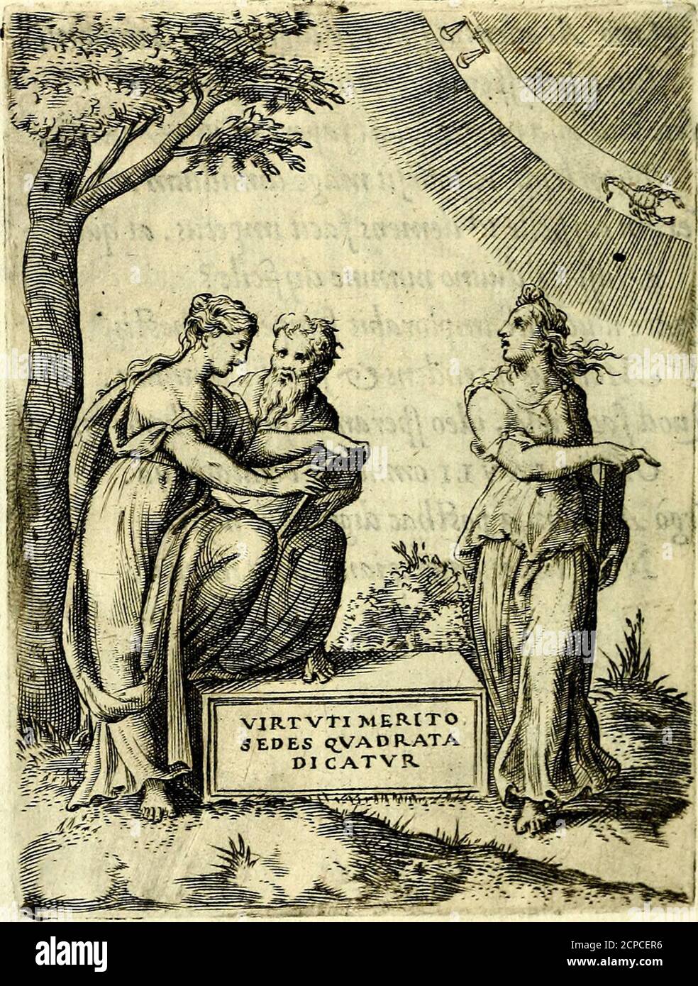 Mage id: hi-res stock photography and images - Alamy