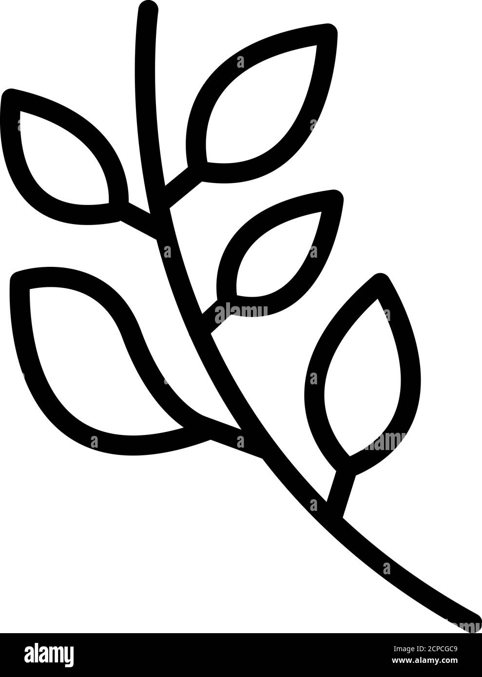 Branch of basil Black and White Stock Photos & Images - Alamy