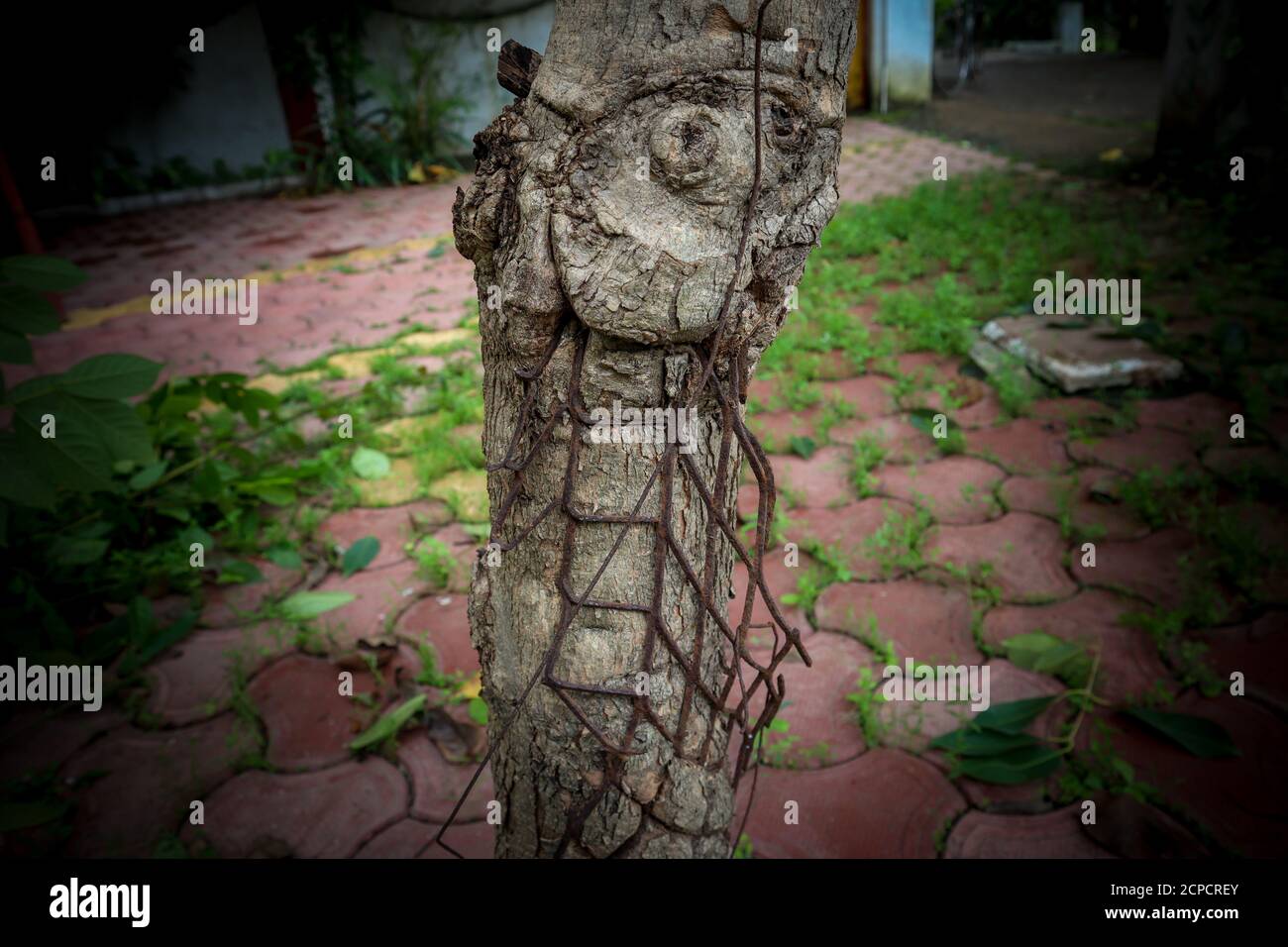 Old leaves trapped in railing hi-res stock photography and images - Alamy