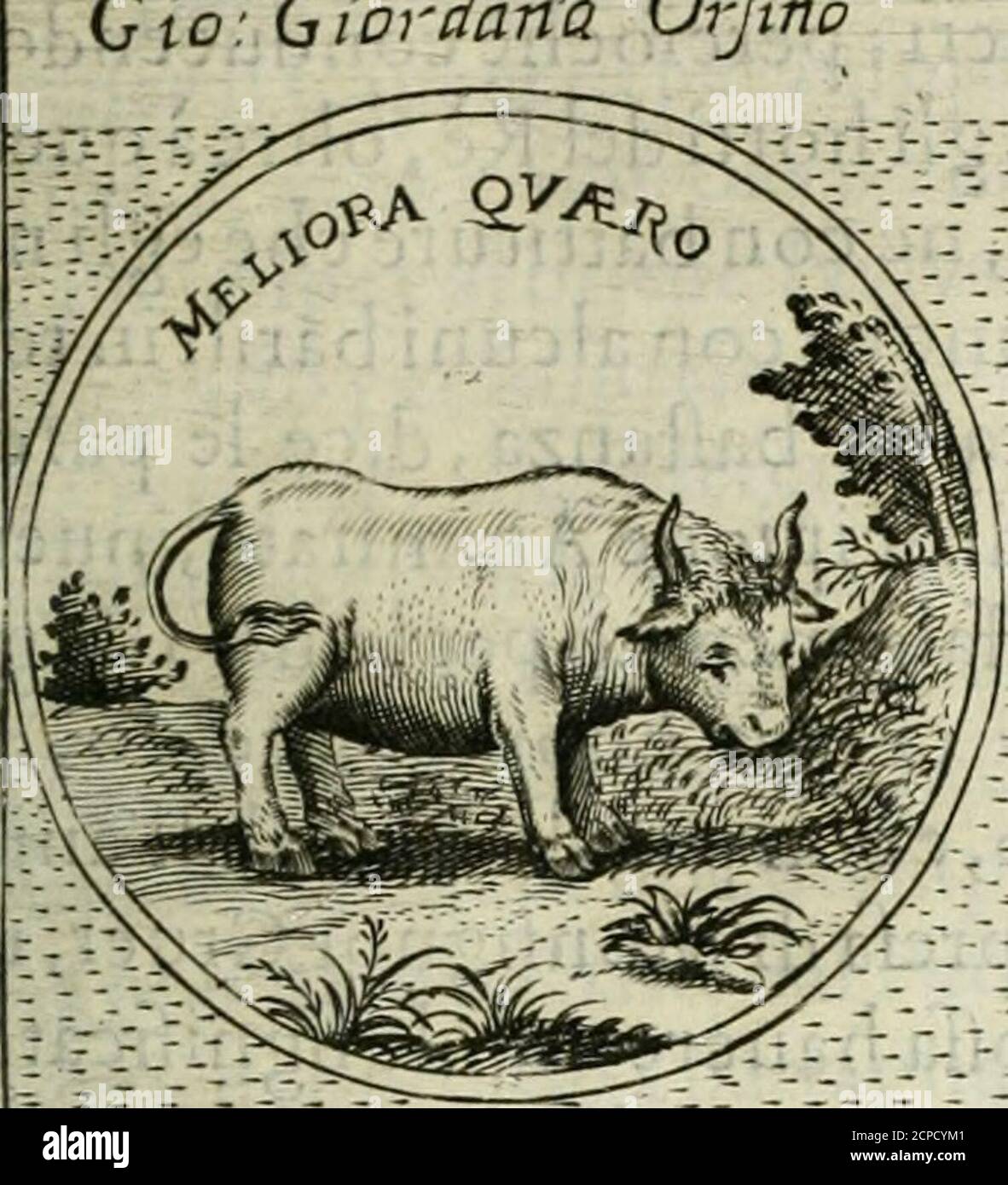 Orfi hi-res stock photography and images - Alamy