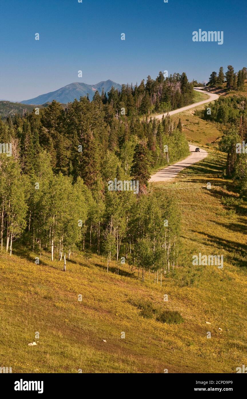 Skyline Drive at Wasatch Plateau, Utah, USA Stock Photo - Alamy