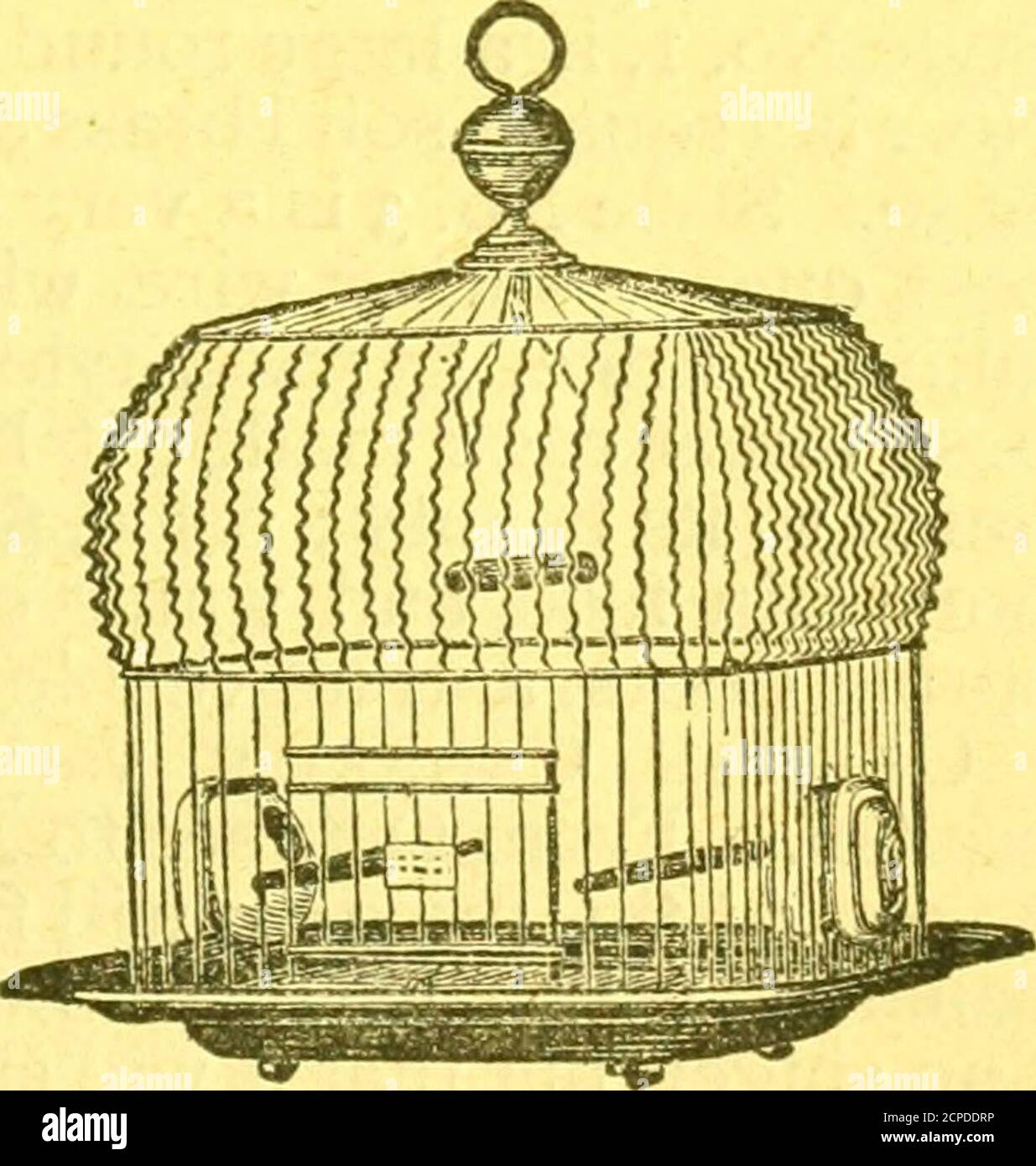 Covered bird cages hi-res stock photography and images - Alamy