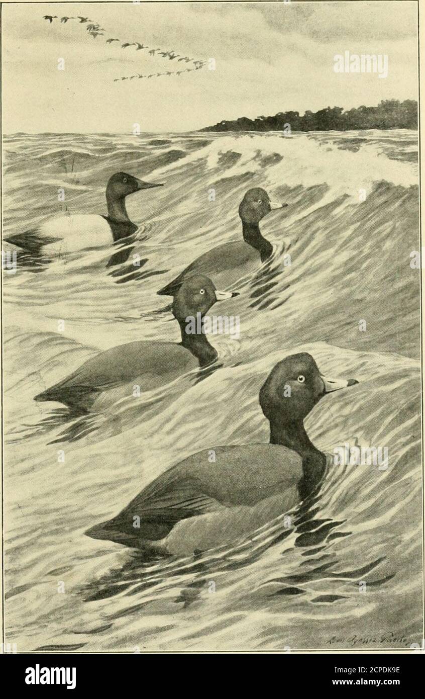 Ice shoves hi-res stock photography and images - Alamy