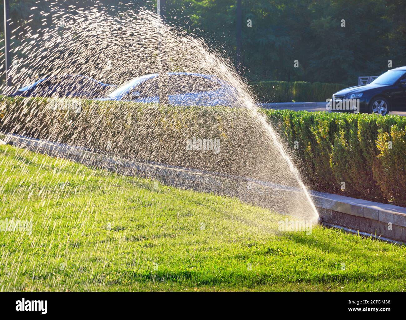 Beautiful spray hi-res stock photography and images - Alamy