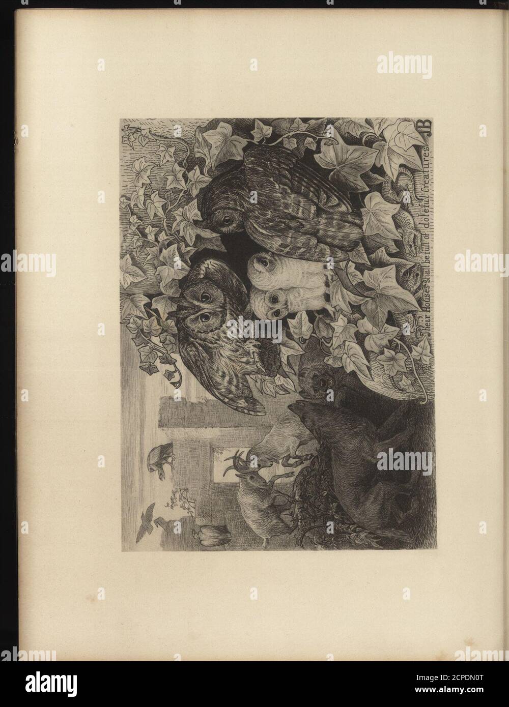 . Bible beasts and birds : a new edition of illustrations of scripture ...