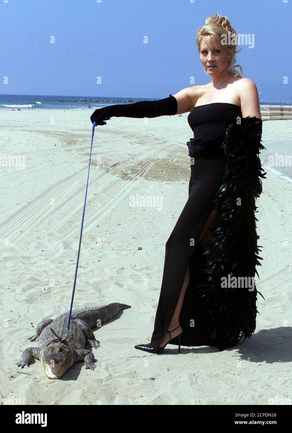 Linda Kozlowski Crocodile Dundee High Resolution Stock Photography and ...
