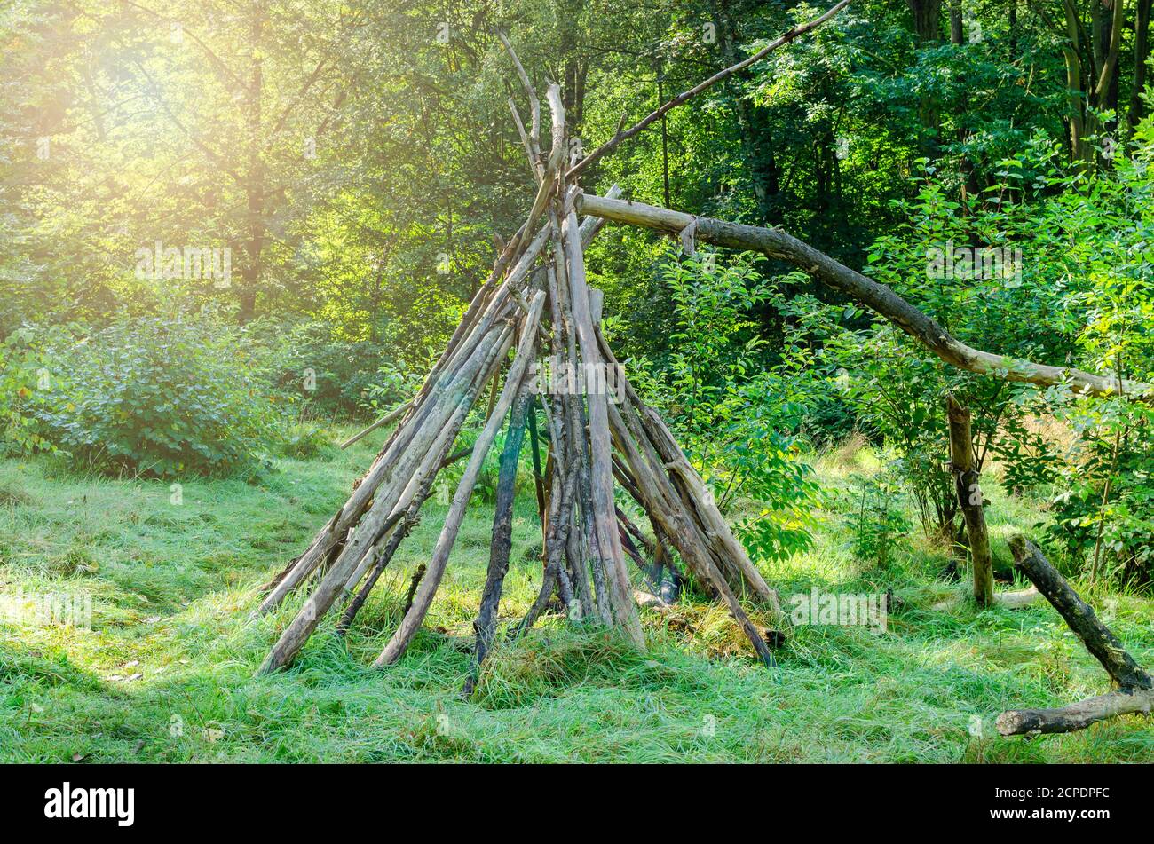 Log cabin forest hi-res stock photography and images - Alamy