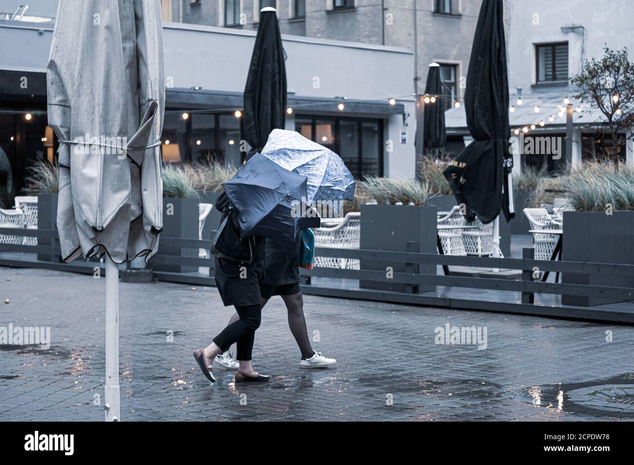 Girls take shelter with umbrellas from light rain and strong wind ...