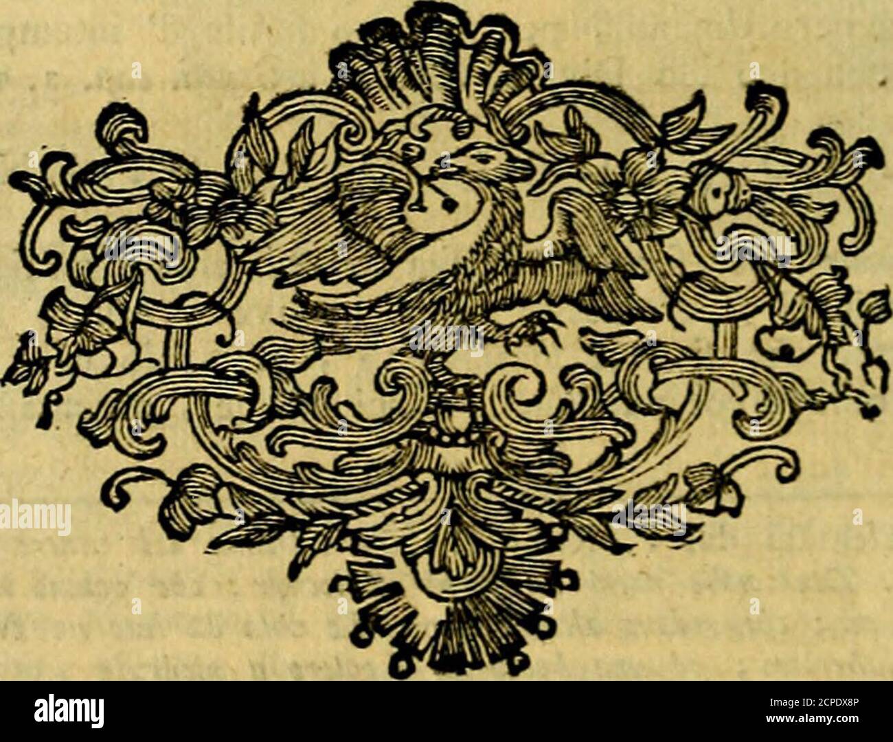 Preda del cibo hi-res stock photography and images - Alamy