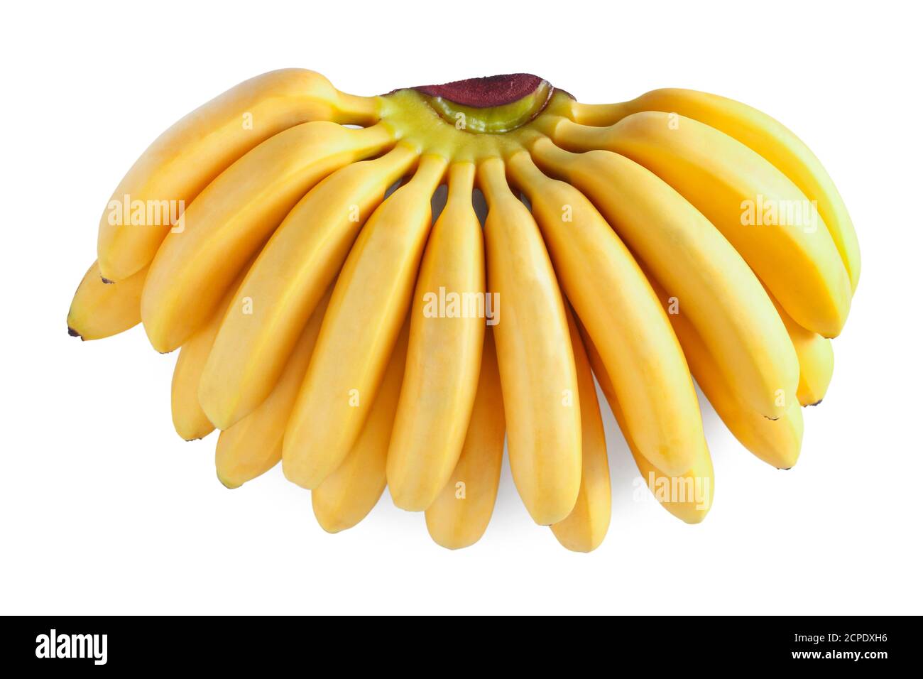 Bunch of ripe mini bananas isolated on white background Stock Photo - Alamy