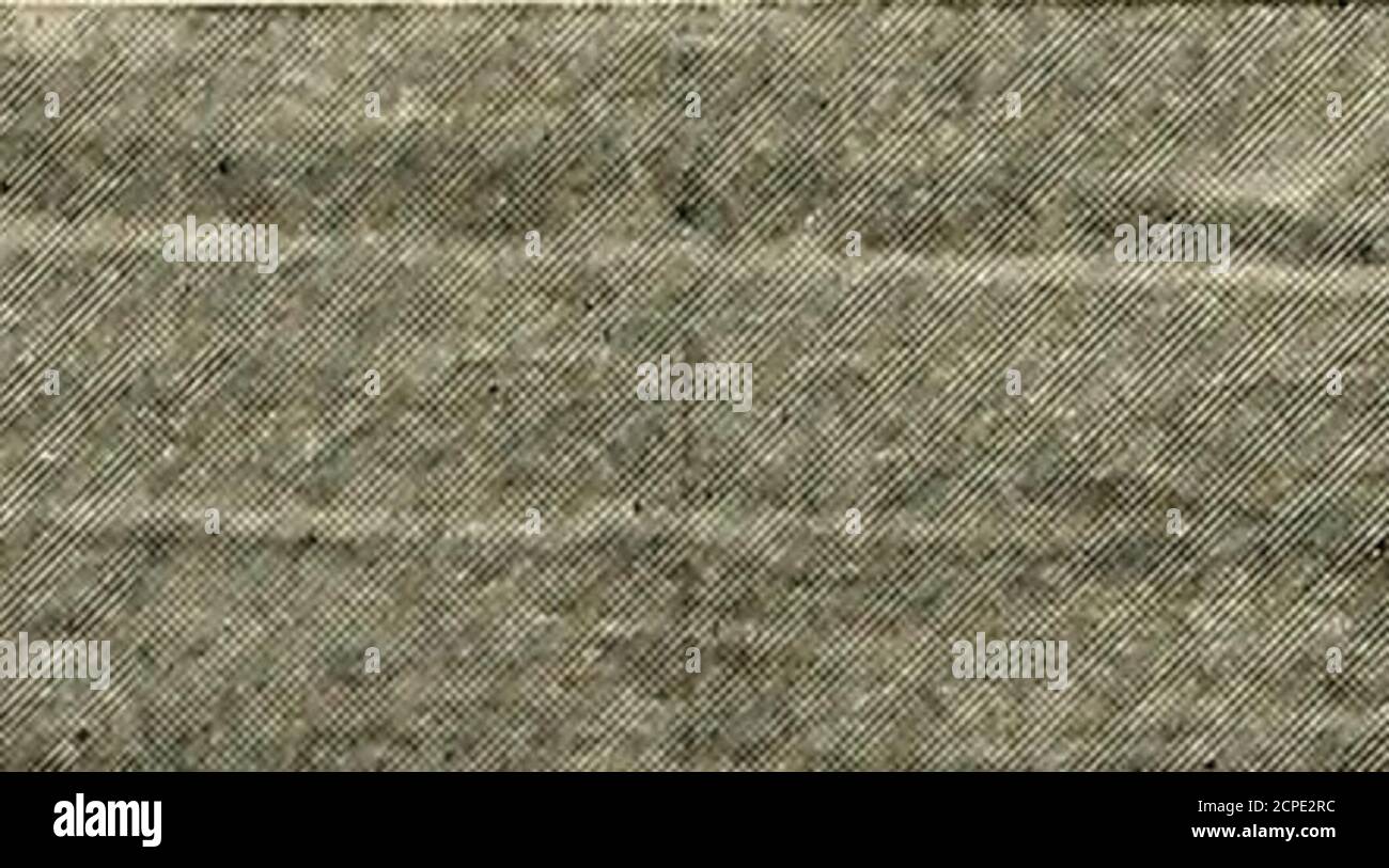 . Bird lore . AT THE PERMANENT FEEDING-STATIONS MUCH CAN BE LEARNED OF ...