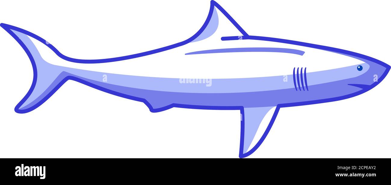 White shark outline. Predatory fish. Flat vector line art Stock Vector ...