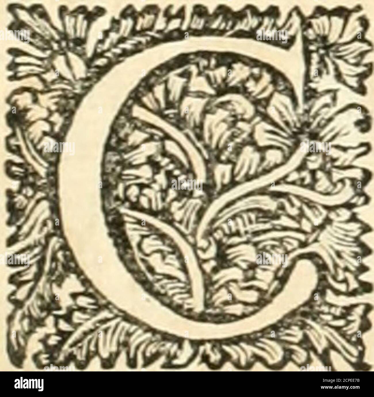 Fif font hi-res stock photography and images - Alamy