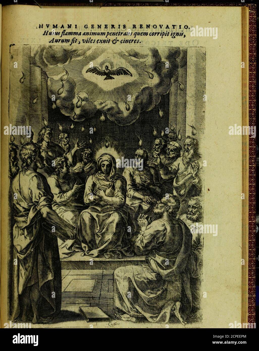 Puellce hi-res stock photography and images - Alamy