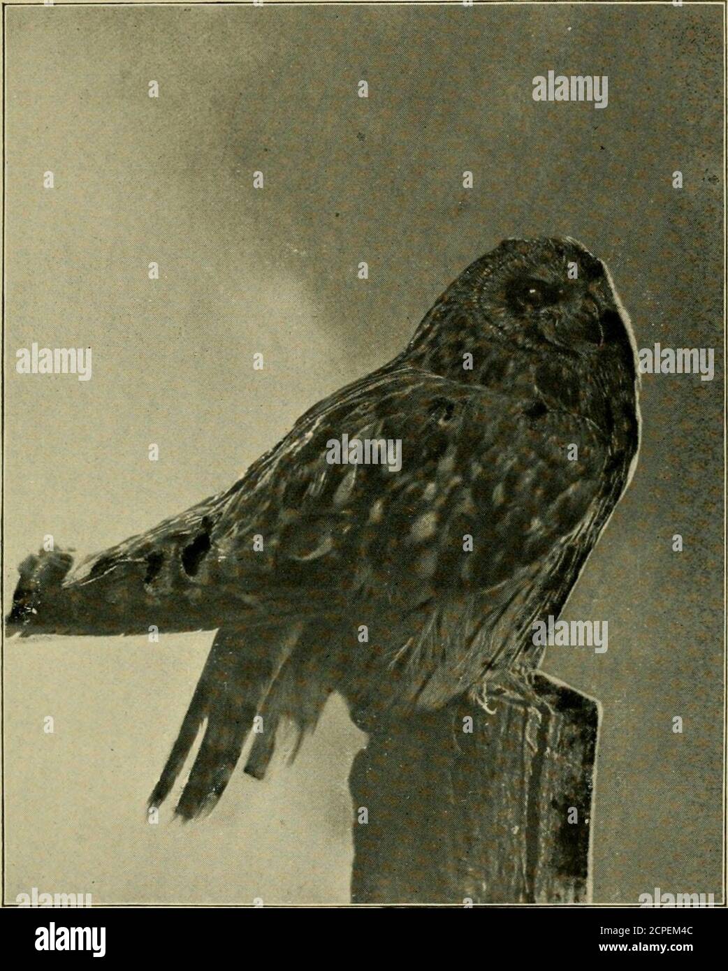 Aixim hi-res stock photography and images - Alamy